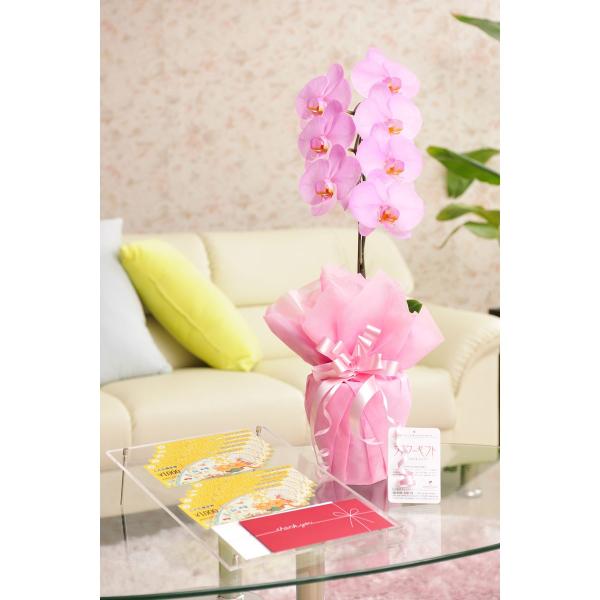 ●お祝い用お祝いギフト、お悔やみギフトの専門店SP Gift's（エスピーギフト）では、誕生日祝い、結婚祝い、出産祝い、退職祝い、還暦や米寿などの長寿祝いなどの各種お祝い事へのプレゼントや贈り物から、開店祝い、開業祝い、移転祝い、就任祝いな...