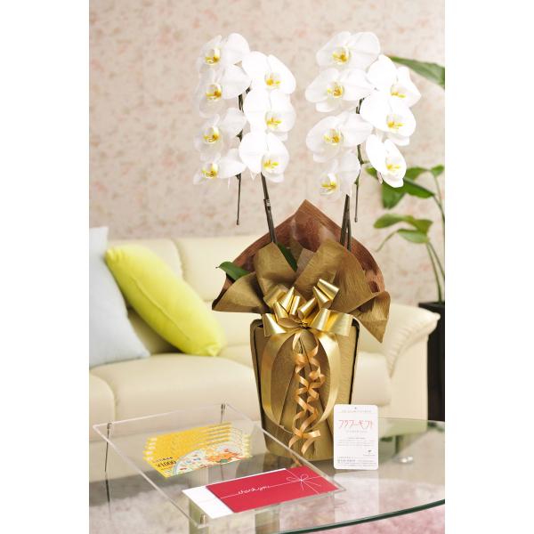 ●お祝い用お祝いギフト、お悔やみギフトの専門店SP Gift's（エスピーギフト）では、誕生日祝い、結婚祝い、出産祝い、退職祝い、還暦や米寿などの長寿祝いなどの各種お祝い事へのプレゼントや贈り物から、開店祝い、開業祝い、移転祝い、就任祝いな...