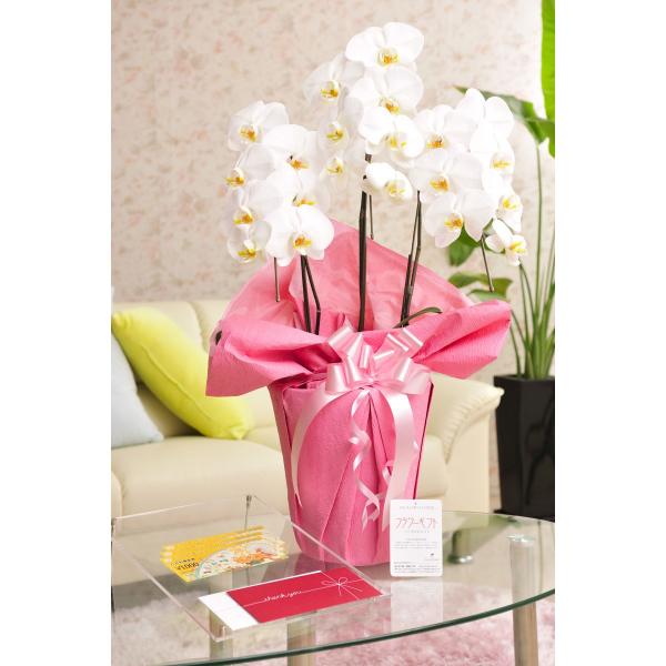 ●お祝い用お祝いギフト、お悔やみギフトの専門店SP Gift's（エスピーギフト）では、誕生日祝い、結婚祝い、出産祝い、退職祝い、還暦や米寿などの長寿祝いなどの各種お祝い事へのプレゼントや贈り物から、開店祝い、開業祝い、移転祝い、就任祝いな...