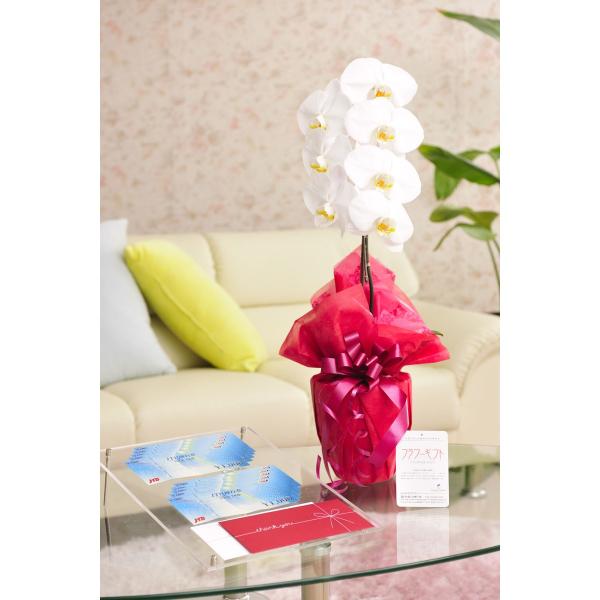 ●お祝い用お祝いギフト、お悔やみギフトの専門店SP Gift's（エスピーギフト）では、誕生日祝い、結婚祝い、出産祝い、退職祝い、還暦や米寿などの長寿祝いなどの各種お祝い事へのプレゼントや贈り物から、開店祝い、開業祝い、移転祝い、就任祝いな...