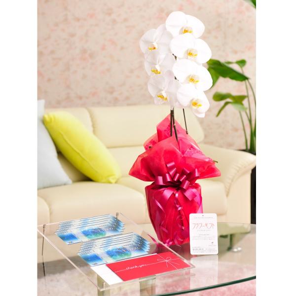 ●お祝い用お祝いギフト、お悔やみギフトの専門店SP Gift's（エスピーギフト）では、誕生日祝い、結婚祝い、出産祝い、退職祝い、還暦や米寿などの長寿祝いなどの各種お祝い事へのプレゼントや贈り物から、開店祝い、開業祝い、移転祝い、就任祝いな...