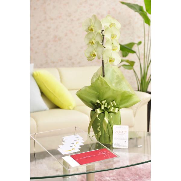 ●お祝い用お祝いギフト、お悔やみギフトの専門店SP Gift's（エスピーギフト）では、誕生日祝い、結婚祝い、出産祝い、退職祝い、還暦や米寿などの長寿祝いなどの各種お祝い事へのプレゼントや贈り物から、開店祝い、開業祝い、移転祝い、就任祝いな...