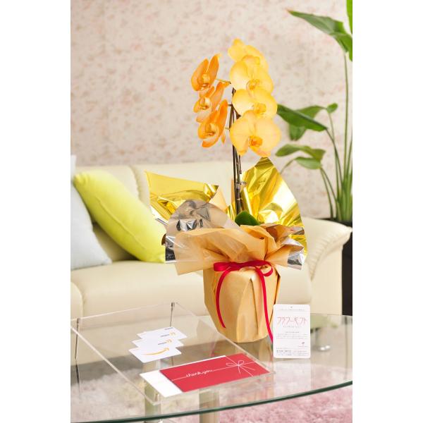 ●お祝い用お祝いギフト、お悔やみギフトの専門店SP Gift's（エスピーギフト）では、誕生日祝い、結婚祝い、出産祝い、退職祝い、還暦や米寿などの長寿祝いなどの各種お祝い事へのプレゼントや贈り物から、開店祝い、開業祝い、移転祝い、就任祝いな...