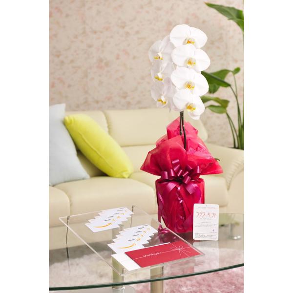 ●お祝い用お祝いギフト、お悔やみギフトの専門店SP Gift's（エスピーギフト）では、誕生日祝い、結婚祝い、出産祝い、退職祝い、還暦や米寿などの長寿祝いなどの各種お祝い事へのプレゼントや贈り物から、開店祝い、開業祝い、移転祝い、就任祝いな...