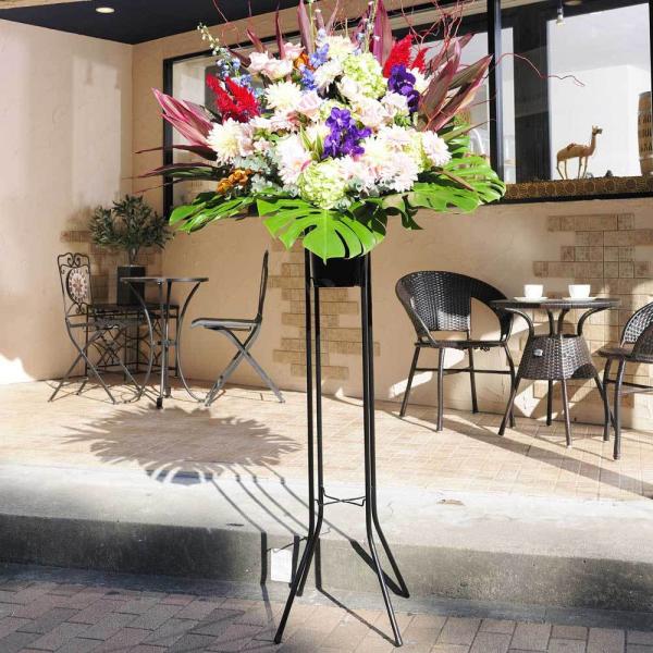 一般的なスタンド花ではあまり使用する事がない、ひと味違った稀少花材で仕立てる一段式のスタンド花です。明るくポップな色彩の様々なカラーの稀少花材で、カラフルで見栄えの良いスタンド花、お祝い花をお仕立ていたします。開店祝い、開業祝い、公演祝いな...