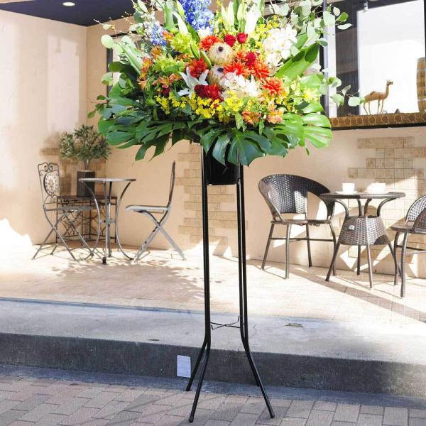 同じく稀少花材で仕立てる一段式2万円のスタンド花より花材の量も多く、ボリューム感ある規格となっています。気さくでポップな雰囲気、様々なカラーの稀少花材を中心に仕立てるスタイリッシュかつ見栄えの良いスタンド花は、開店、開業のオープン祝いや、公...