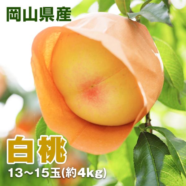 お中元、ご進物用にもおすすめの岡山産 旬の白桃 お得な 13玉〜15玉入 (約4kg )です。出荷期間は7月上旬頃〜8月中旬頃、ご注文の時期に収穫される美味しい旬の白桃をお届け致します。平均糖度は12度〜16度(気温や天候等により変動がござ...