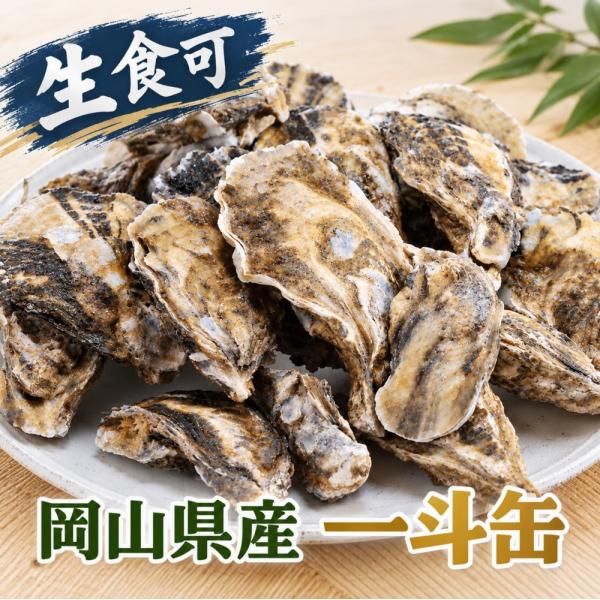 【発売日：2019年10月01日】【殻付生かき】 岡山県 邑久産 曙牡蠣 | 一斗缶100個(10kg)以上■産地：岡山県瀬戸内市邑久海域■消費期限：送り状記載の出荷日より４日以内(生食の場合は2日以内)●サイズ：一斗缶100個以上　重量：...