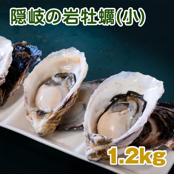 【発売日：2021年09月17日】■食べやすい一口サイズの岩ガキ原生林の生い茂る自然豊かな山から隠岐の海へと運ばれた豊富な栄養で育った濃厚な味わいの隠岐の島の岩牡蠣を漁師さん（牡蠣-1グランプリ2025 日本一美しい牡蠣部門最高金賞受賞）か...