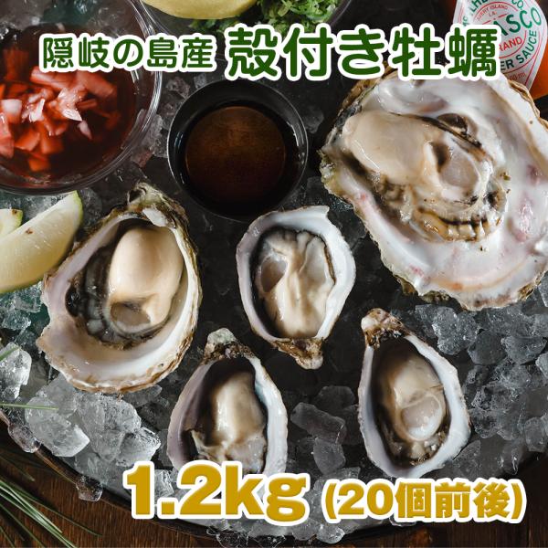 【発売日：2021年09月17日】■三倍体マガキとは卵を産まない牡蠣。産卵にエネルギーを使わず、成長のみに使えるため、大きく育つ上に、産卵してやせ細ることがなく、年間を通して安定した実入りとなります。繁殖しないため、身がやせることもなくなる...