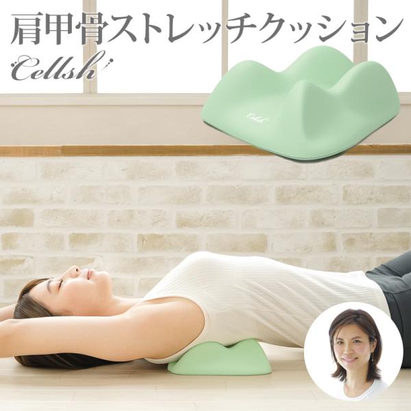 【発売日：2023年08月21日】