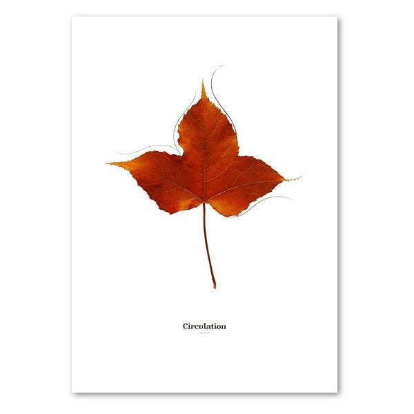 ■インテリアの為のアートポスター<キーワード>ポスター,インテリア,アート,人気,おしゃれ,デザイン,センス,フォト,写真,花,植物