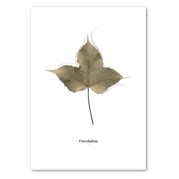 ■インテリアの為のアートポスター<キーワード>ポスター,インテリア,アート,人気,おしゃれ,デザイン,センス,フォト,写真,花,植物