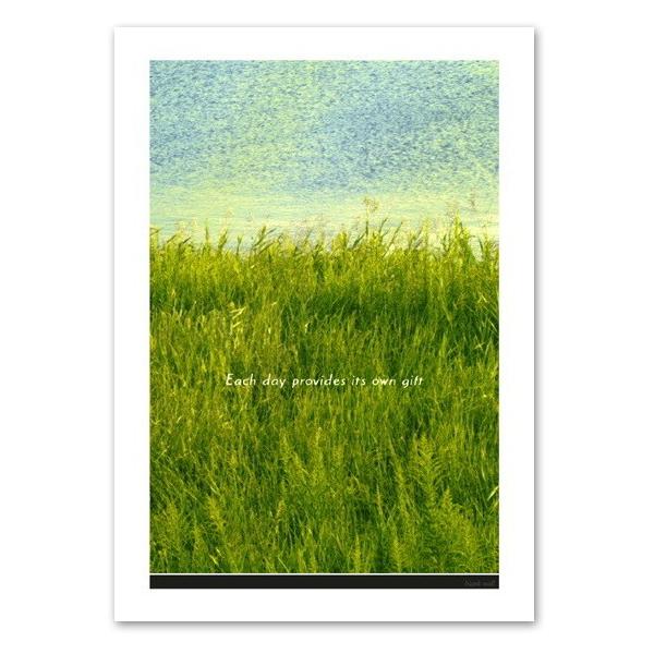 ■インテリアの為のアートポスター<キーワード>ポスター,インテリア,アート,人気,おしゃれ,センス,フォト,写真,花,植物,風景,景色,グリーン