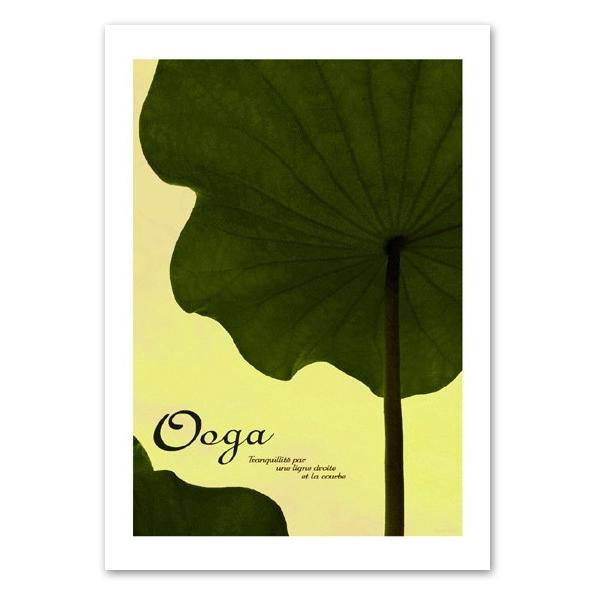 ■インテリアの為のアートポスター<キーワード>ポスター,インテリア,アート,おしゃれ,センス,フォト,写真,花,植物,蓮,グリーン,自然