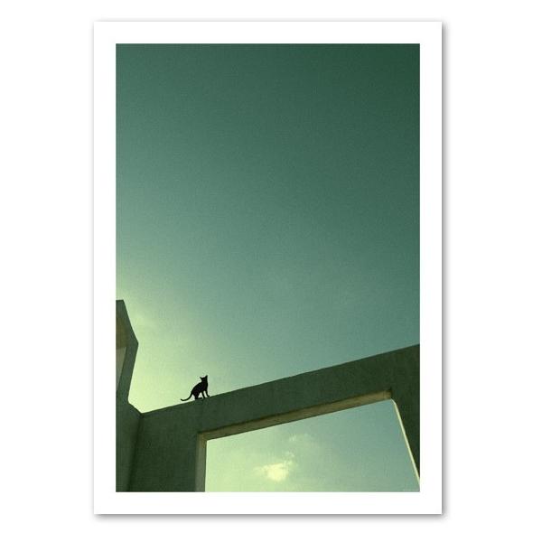 ■インテリアの為のアートポスター<キーワード>ポスター,インテリア,アート,人気,おしゃれ,デザイン,フォト,写真,猫,ねこ,ネコ