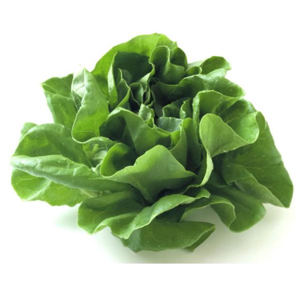 ■この商品は【貴方だけの予約栽培】サラダ菜　です。　・ご注文をいただいてから種をまき、2か月後に収穫します。　・お客様専用の野菜としてアクアポニックスで大切に育てます。　・収穫した新鮮そのものの野菜をお届けします。■アクアポニックスとは、 ...