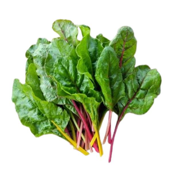 ■この商品は【貴方だけの予約栽培】スイスチャード　です。　・ご注文をいただいてから種をまき、2か月後に収穫します。　・お客様専用の野菜としてアクアポニックスで大切に育てます。　・収穫した新鮮そのものの野菜をお届けします。■アクアポニックスと...