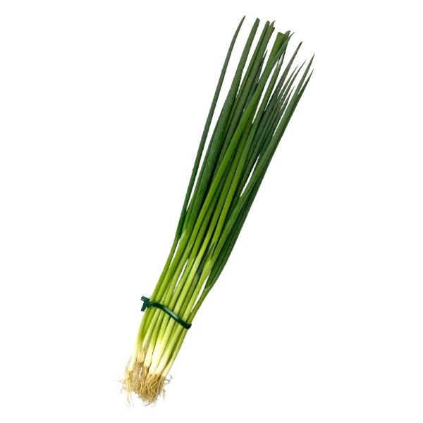 朝・市場に出荷された新鮮な野菜・果物 をその日の夕方に発送致します！（水・日を除く） ネギのように薬味として使われることの多いあさつきです。あさつきは食用とするネギの中でもっとも細いことから「イトネギ」とも呼ばれています。辛味が強く、葉の緑...