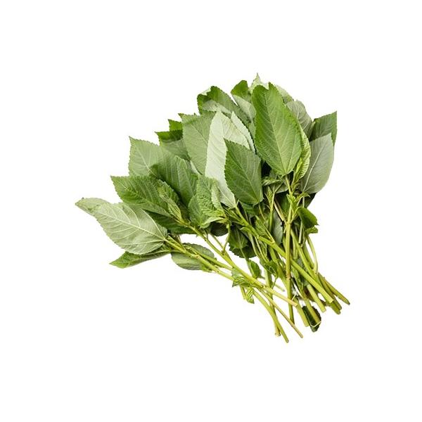 朝・市場に出荷された新鮮な野菜・果物 をその日の夕方に発送致します！（水・日を除く） モロヘイヤは、アラビア語で「王様の野菜」という意味をもちます。その昔、重病を患ったエジプト王がモロヘイヤのスープを飲んで回復した、といわれるほど栄養価が高...