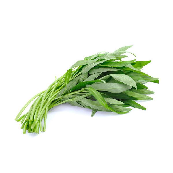 朝・市場に出荷された新鮮な野菜・果物 をその日の夕方に発送致します！（水・日を除く） 　　空芯菜(クウシンサイ)は中華や東南アジア料理に欠かせない葉物野菜のひとつです。主な栄養素は生活習慣病予防に欠かせないベータカロテン、豊富なビタミン類(...