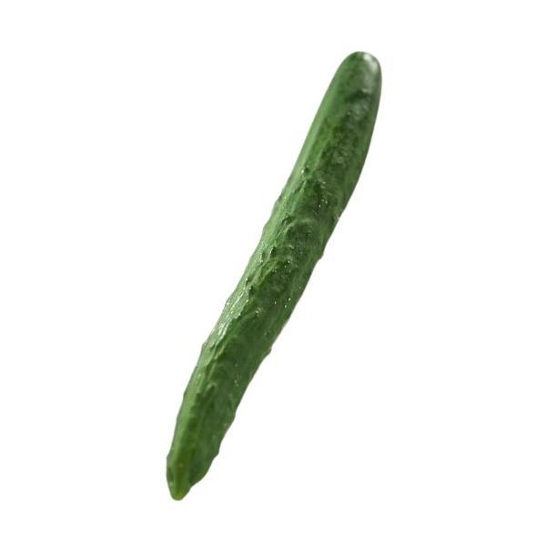 朝・市場に出荷された新鮮な野菜・果物 をその日の夕方に発送致します！（水・日を除く） 　　日本では生食で利用されることがほとんどで、みずみずしさとパリパリとした食感が特徴です。きゅうりは95%以上が水分であることから、栄養の少ない野菜という...