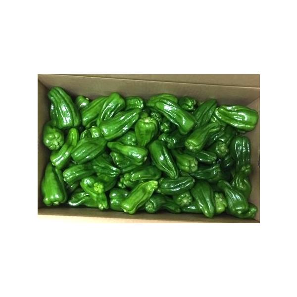 朝・市場に出荷された新鮮な野菜・果物 をその日の夕方に発送致します！（水・日を除く） ピーマンはとうがらしの仲間で緑色の野菜です。ビタミンCと葉緑素が豊富に含まれています。ゆでたり、炒めたり、細かくきざんでサラダにしたり、和・洋・中華と応用...