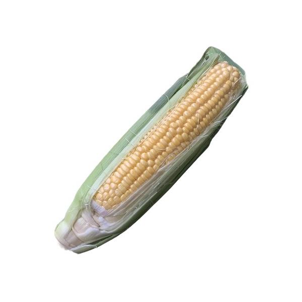 朝・市場に出荷された新鮮な野菜・果物 をその日の夕方に発送致します！（水・日を除く）みずみずしい黄色の粒が、甘くて美味しいとうもろこしです。熱湯で茹でたり、蒸かすとより甘く、実がやわらかく 食べやすいです。※画像は商品と異なる場合がございま...