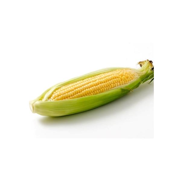 朝・市場に出荷された新鮮な野菜・果物 をその日の夕方に発送致します！（水・日を除く） みずみずしい黄色の粒が、甘くて美味しいとうもろこし、バーベキューやお祭りの屋台など、夏の風物詩として、とうもろこしは欠かせない存在です。※画像は商品と異な...