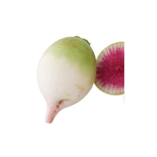 朝・市場に出荷された新鮮な野菜・果物 をその日の夕方に発送致します！（水・日を除く） 「紅芯大根（こうしんだいこん）」は皮が白色で、果肉が赤色をした大根です。皮は白と黄緑色のグラデーションになっていて、果肉は紅色〜赤紫色と鮮やかなのが特徴。...