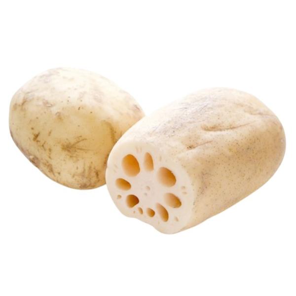 朝・市場に出荷された新鮮な野菜・果物 をその日の夕方に発送致します！（水・日を除く） 　　レンコンは可食部の80〜85％が水分で、次にデンプンが多いです。デンプンは人間の体内で分解されブドウ糖になり、ブトウ糖は生命活動のエネルギー源となりま...