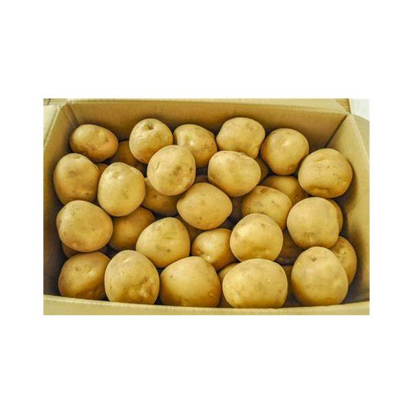 朝・市場に出荷された新鮮な野菜・果物 をその日の夕方に発送致します！（水・日を除く） ジャガイモはいろんな料理に活躍するベーシックな野菜です。じゃがいもはでんぷんをはじめ栄養豊かな成分を含んだ保存のきく常備野菜です。生活習慣病予防に効果のあ...