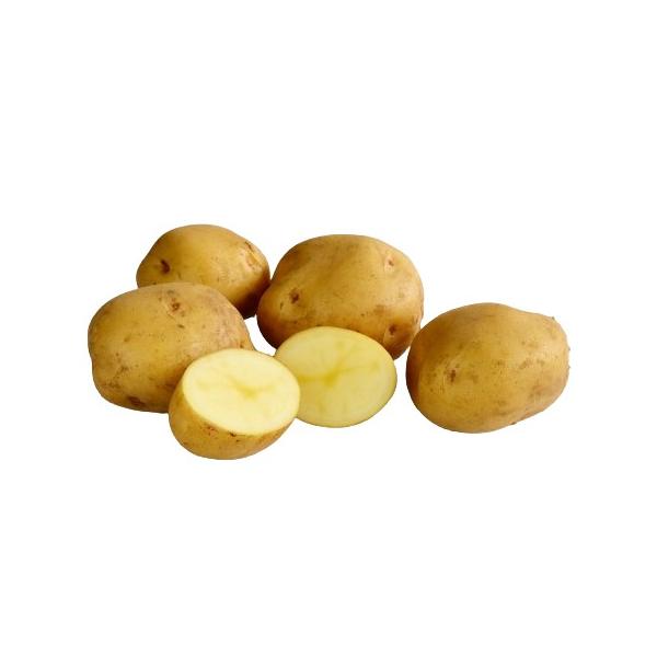 朝・市場に出荷された新鮮な野菜・果物 をその日の夕方に発送致します！（水・日を除く）きたあかりは甘みが強い味わいとホクホクですが煮崩れしやすいのが特徴のじゃがいもの品種です。男爵によく似た見た目の品種ですが、皮の芽の部分にあり、芽が赤くなっ...