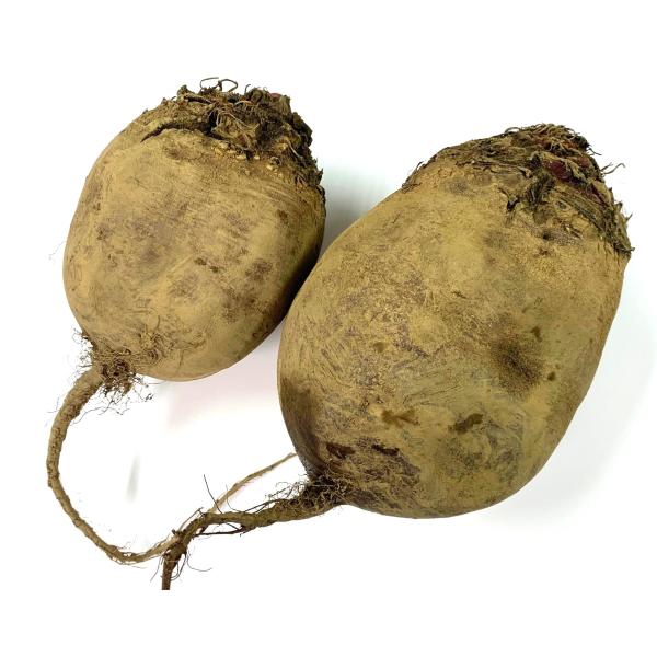 朝・市場に出荷された新鮮な野菜・果物 をその日の夕方に発送致します！（水・日を除く） ビーツは皮も中身も、色は鮮やかな赤紫色ですが、カブとはまったく別の野菜です。ビーツにはミネラルやビタミンが豊富で、葉の部分には鉄分が多く含まれています。ビ...