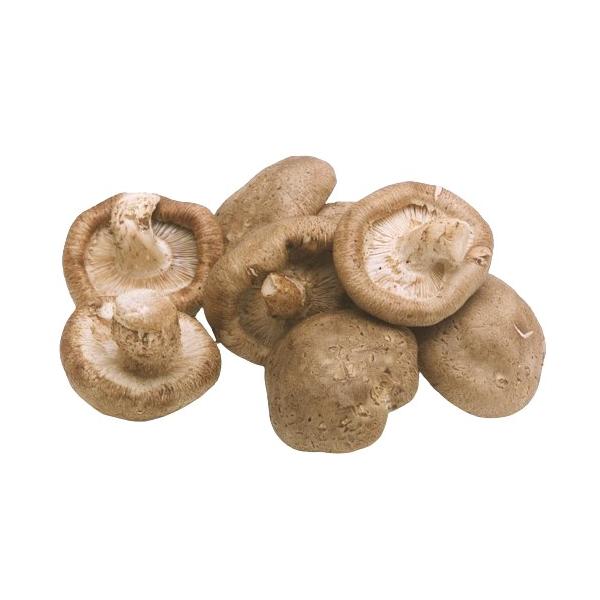 朝・市場に出荷された新鮮な野菜・果物 をその日の夕方に発送致します！（水・日を除く） 　　生椎茸 （なましいたけ）は遠火で 炙り焼き にしたり、 鍋料理 、 スープ 、 茶碗蒸し 、 うどん 、 巻き寿司 などに入れたり、 炒め物 、 天ぷ...