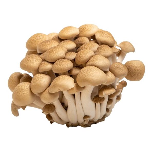 朝・市場に出荷された新鮮な野菜・果物 をその日の夕方に発送致します！（水・日を除く） 　　ぶなしめじは、炒め物、揚げ物、煮物に向いています。食感がよく甘みが強いのが特徴です。　　※画像は商品と異なる場合がございます。※産地が変更になる可能性...