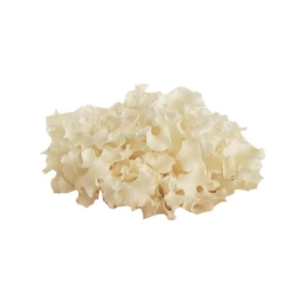 朝・市場に出荷された新鮮な野菜・果物 をその日の夕方に発送致します！（水・日を除く） はなびら茸は、自然界では夏から初秋にかけて高山地帯のカラマツ等の針葉樹の根本で自生しますが、なかなか目にすることが出来ない希少なきのこです。アワビのような...