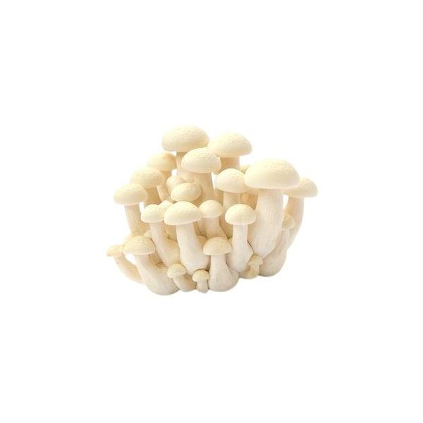 朝・市場に出荷された新鮮な野菜・果物 をその日の夕方に発送致します！（水・日を除く） 　　ブナピー（白ぶなしめじ）の特徴は、「プルン」とした食感と「ツルン」とした喉ごしが新食感のきのこで、味はきのこ特有の苦みが少なく、代わりに甘みを感じやす...