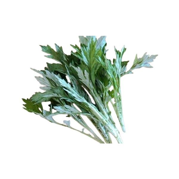 朝・市場に出荷された新鮮な野菜・果物 をその日の夕方に発送致します！（水・日を除く）よもぎは春の野菜で、独特の香りがあり、草餅やよもぎ団子によく使われる植物で、柔らかい若葉が摘める3月から5月頃が旬と言われています。新芽の部分を摘み取り、茹...