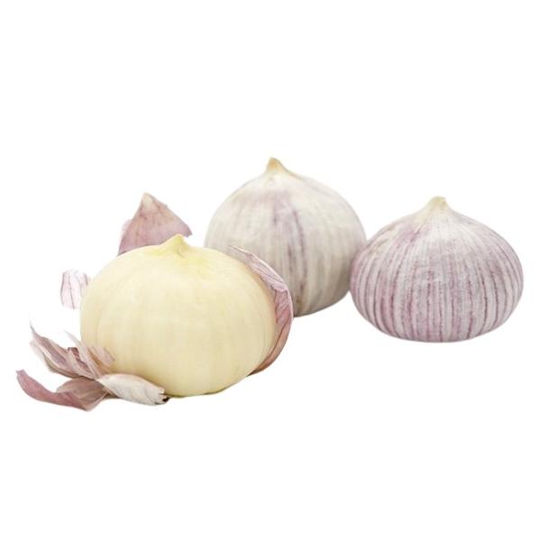 朝・市場に出荷された新鮮な野菜・果物 をその日の夕方に発送致します！（水・日を除く） プチにんにく（一片種ニンニク）は、中身が分球せずに1塊になっているミニサイズのにんにくです。便利な使いきりサイズです。※画像は商品と異なる場合がございます...