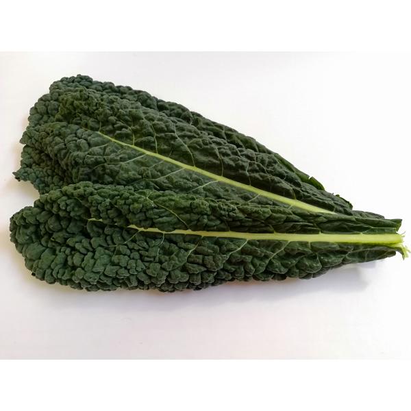 朝・市場に出荷された新鮮な野菜・果物 をその日の夕方に発送致します！（水・日を除く）カーボロ・ネロ（cavolo nero）とはイタリアのトスカーナを代表するイタリア野菜。 ケールの仲間でアブラナ科の野菜です。 イタリアでは“トスカーナのキ...