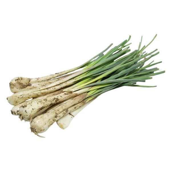 朝・市場に出荷された新鮮な野菜・果物 をその日の夕方に発送致します！（水・日を除く） 島らっきょうは、らっきょうの中でも、りん茎と呼ばれる根付近の部位が小ぶりで細長いのが特徴です。シャキシャキとした食感と独特な風味、強い辛味を楽しめます。島...