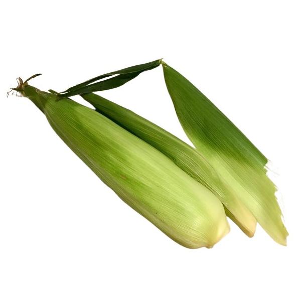 朝・市場に出荷された新鮮な野菜・果物 をその日の夕方に発送致します！（水・日を除く） ヤングコーンは、普通のトウモロコシの実が育つ前に摘み取ったもので、いわば「トウモロコシの赤ちゃん」です。またはベビーコーンと言います。トウモロコシと違って...