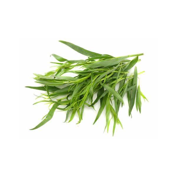 朝・市場に出荷された新鮮な野菜・果物 をその日の夕方に発送致します！（水・日を除く） エストラゴン（タラゴン）は甘い柔らかい香りハーブです。世界三大料理の1つといわれたフランス料理では、香辛料やソースにと幅広く利用されています。※画像は商品...