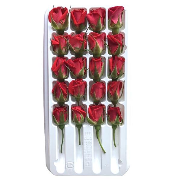 朝・市場に出荷された新鮮な野菜・果物 をその日の夕方に発送致します！（水・日を除く） 直径1.5cm〜2cmほどの小さな食用バラです。洋食・デザートの食卓を彩る「つまもの」商材です。※画像は商品と異なる場合がございます。※産地が変更になる可...