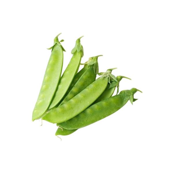 朝・市場に出荷された新鮮な野菜・果物 をその日の夕方に発送致します！（水・日を除く） さやえんどうの主要品種である「絹さや」。シャキシャキとした食感や鮮やかな緑色の見た目が特徴で、料理の彩りや付け合わせとしても使われることが多いです。絹さや...