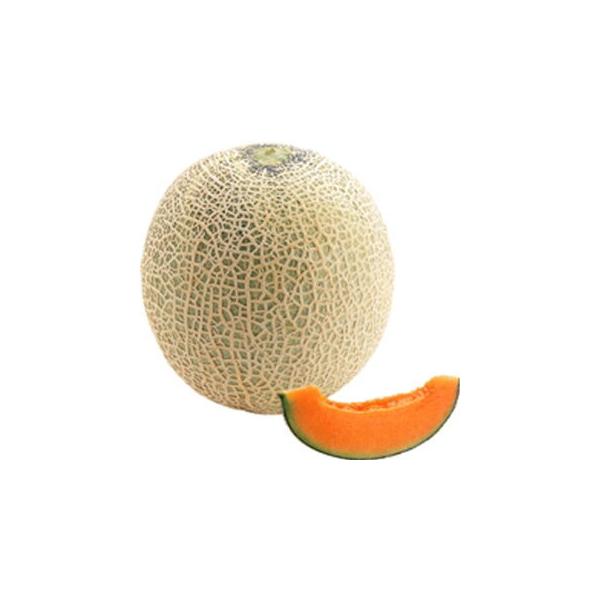 朝・市場に出荷された新鮮な野菜・果物 をその日の夕方に発送致します！（水・日を除く） 　　「果物の王様」と呼ばれるメロンは、糖質やカリウムを豊富に含んでいます。糖質はすばやくエネルギー源となり、またカリウムにはむくみや高血圧の予防効果が期待...