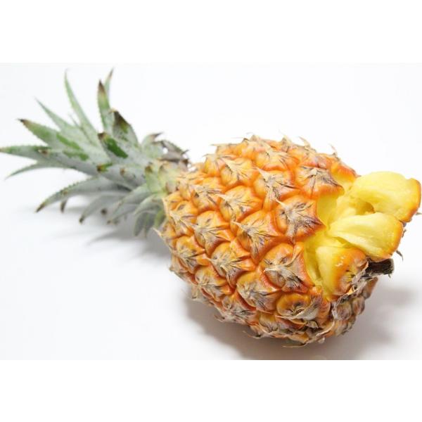 朝・市場に出荷された新鮮な野菜・果物 をその日の夕方に発送致します！（水・日を除く）スナックパインとも呼ばれ手で剥いて食べられます。※画像は商品と異なる場合がございます。※産地が変更になる可能性があります。爆買