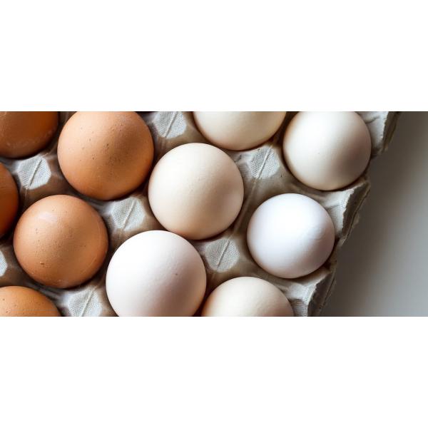 朝・市場に出荷された食品をその日の夕方に発送致します！（水・日を除く）Lサイズの卵は正味（殻なし）約60g、殻つきのままでは64g〜70g未満です。Mサイズの卵は正味（殻なし）約50g、殻つきのままでは58g〜64g未満です。※画像は商品と...