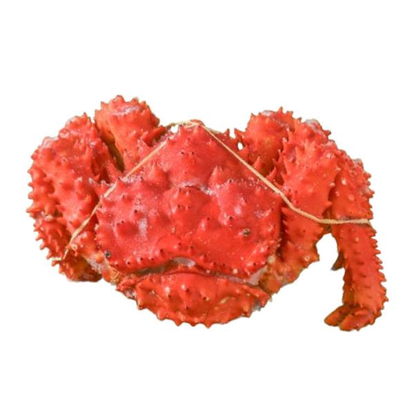 ボイルの花咲ガニが入荷。北海道原料。上質の昆布を餌に育ち、エビのような甘味とコクにカニ通も思わず唸ってしまうほど美味しい花咲蟹です。年間を通して見映えの良い料理を提供出来ます。カットしてそのまま食べても良し、汁物にしても良し、鍋にも良しと宴...